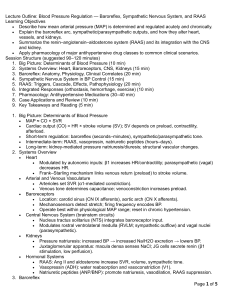 Urinary System: Anatomy, Function & RAAS - Lecture Notes