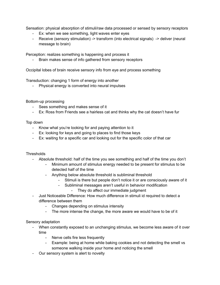 Sensation and Perception Lecture Notes