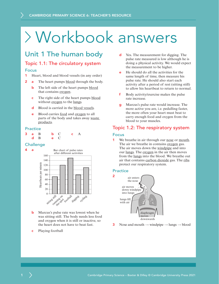 Cambridge Primary Science 6 Teacher's Resource Workbook Answers