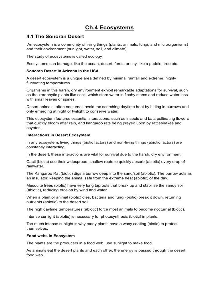 Chapter 4: Ecosystems - Sonoran Desert & More