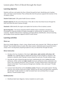 Heart Anatomy Labeling Worksheet