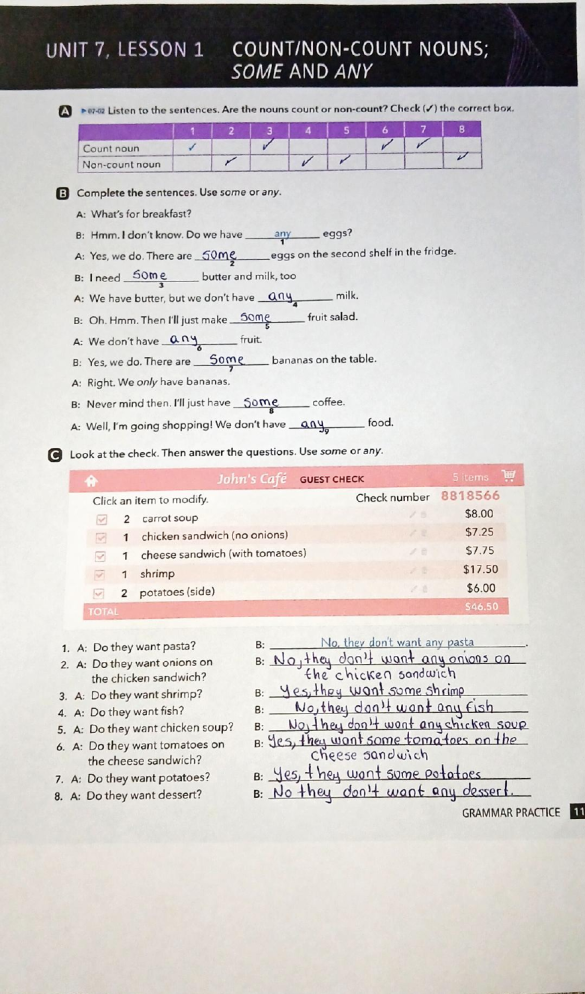 Grammar Workbook: Count/Non-Count Nouns & Some/Any
