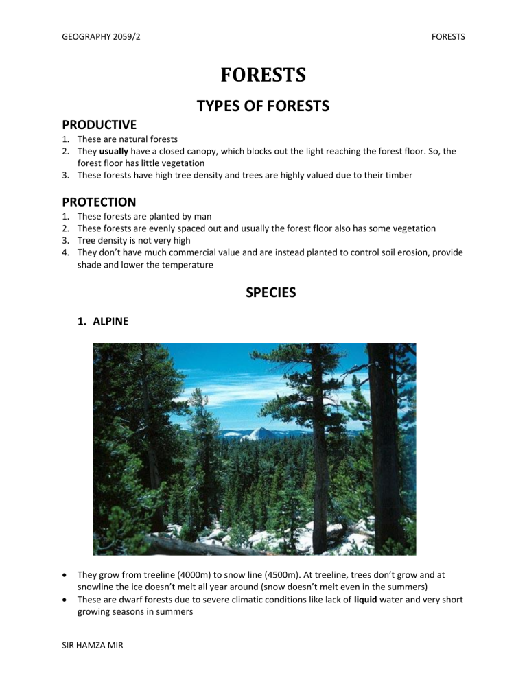 Types of Forests: Productive, Protection, and Species