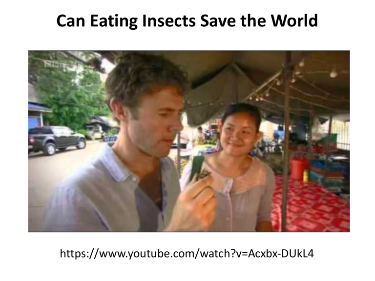 Can Eating Insects Save the World? Overpopulation, Protein, and ...