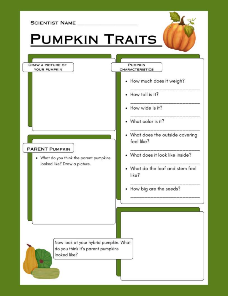 Pumpkin Traits Worksheet for Elementary Science