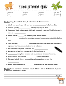 Ecosystems Quiz: Food Chains & Food Webs Worksheet