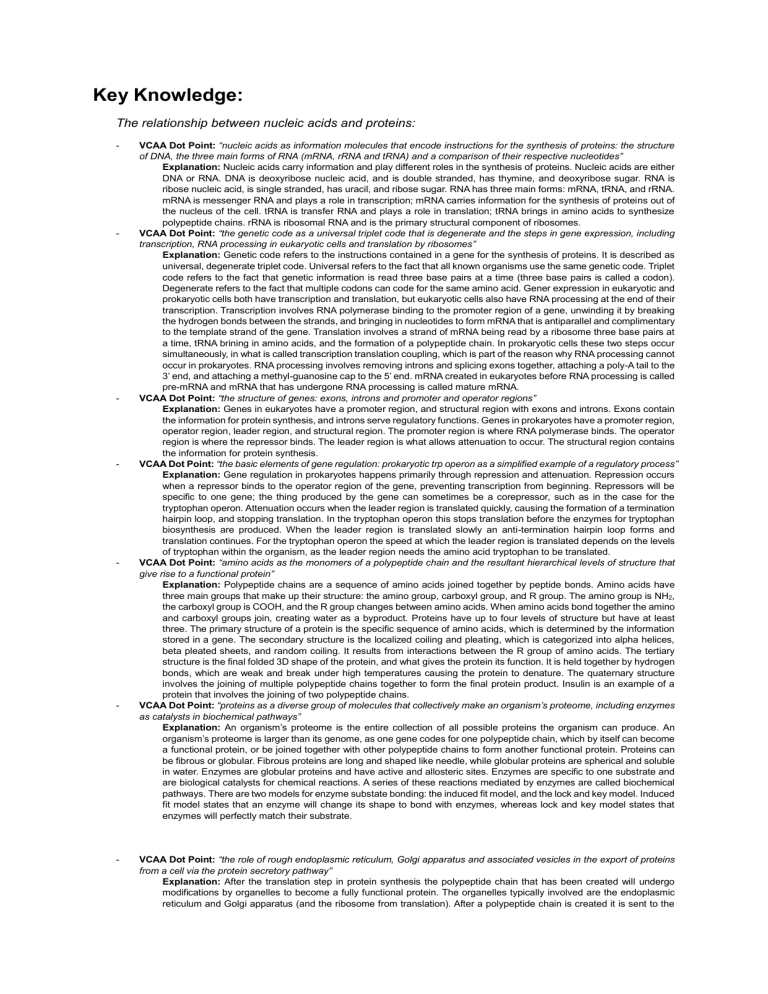 VCE Biology: Nucleic Acids & Proteins