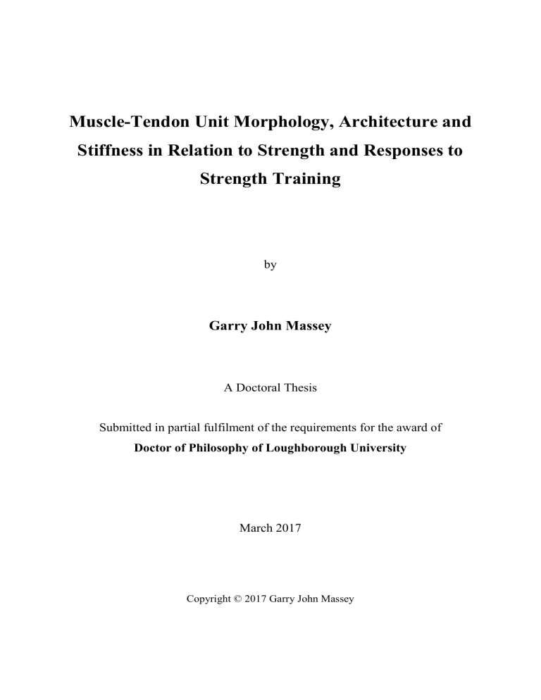 Muscle-Tendon Unit Morphology, Architecture & Stiffness in Strength ...