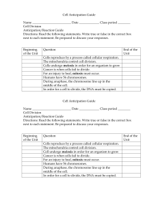 Mitosis vs Meiosis Worksheet