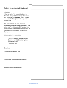 DNA Structure Review Worksheet