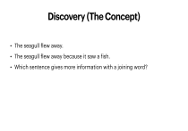 English Grammar Practice: Complex Sentences & More