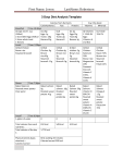 3-Day Diet Analysis Template for Nutritional Tracking