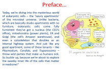 Eukaryotic Cells: Structure & Pathogens