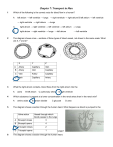 Chapter 7: Transport in Man - Human Circulatory System Questions