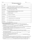 The Crucible Act 3 Vocabulary Worksheet