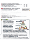 French Nutrition Workbook: Exercises & Food Pyramid