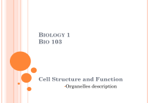 Cell Structure and Function - Biology 103