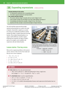 Grade 10 Advanced Algebra Worksheet