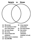Bacteria vs Viruses Comparison Worksheet