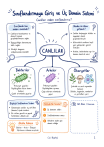 Introduction to Biological Classification & Three Domain System