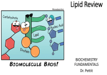 Lipid Review - Biochemistry Fundamentals
