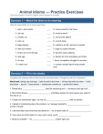 Animal Idioms Practice Exercises Worksheet